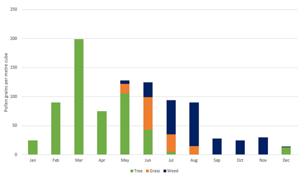 Pollen Count in Oxford Today & Pollen Forecasts | Kleenex