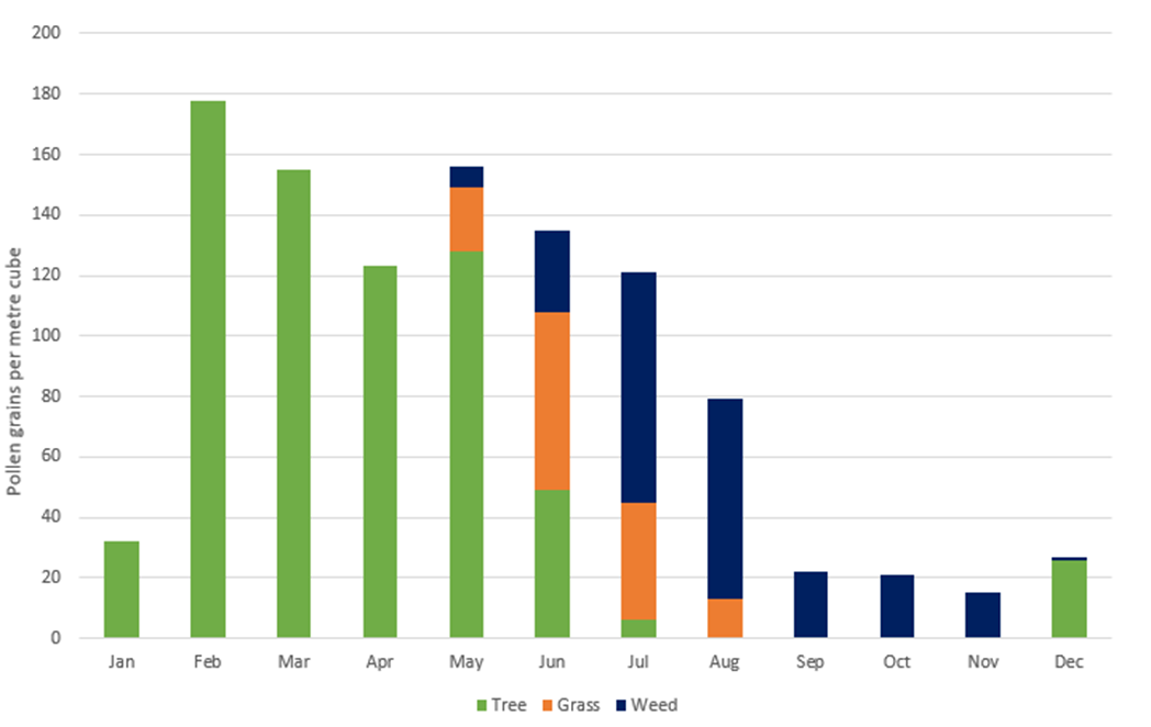 Pollen Count in Sheffield Today & Pollen Forecasts | Kleenex